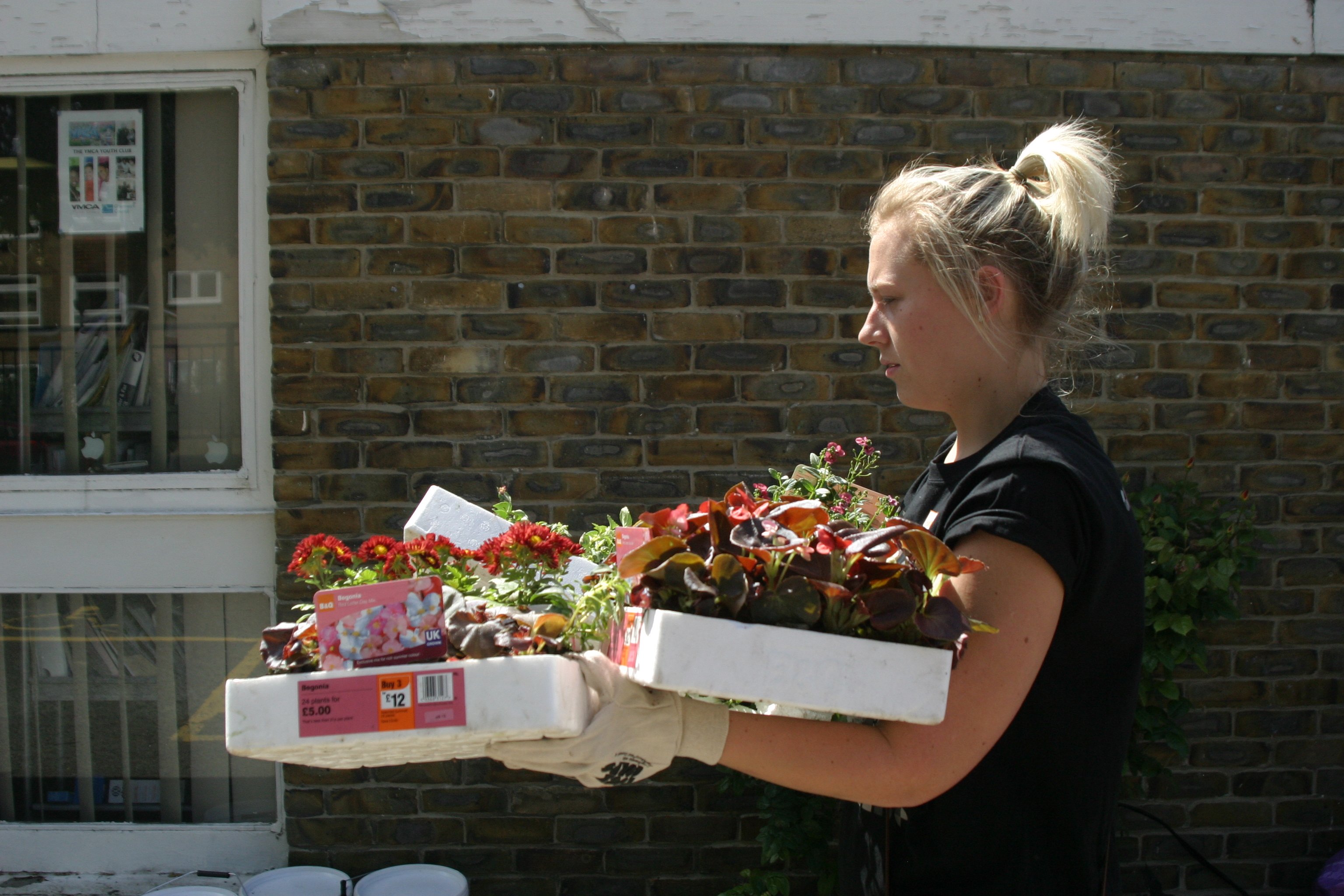 ibis RockCorps - À propos