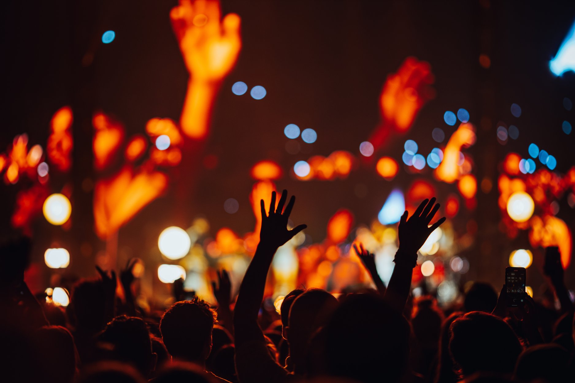 Les artistes ibis RockCorps : édition 2025